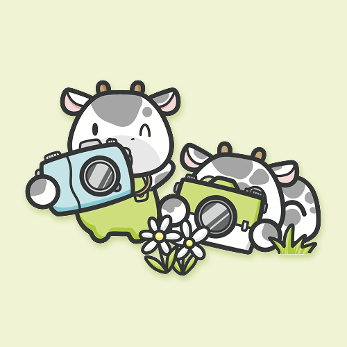 Capture the Day Collection – Hubman and Chubgirl