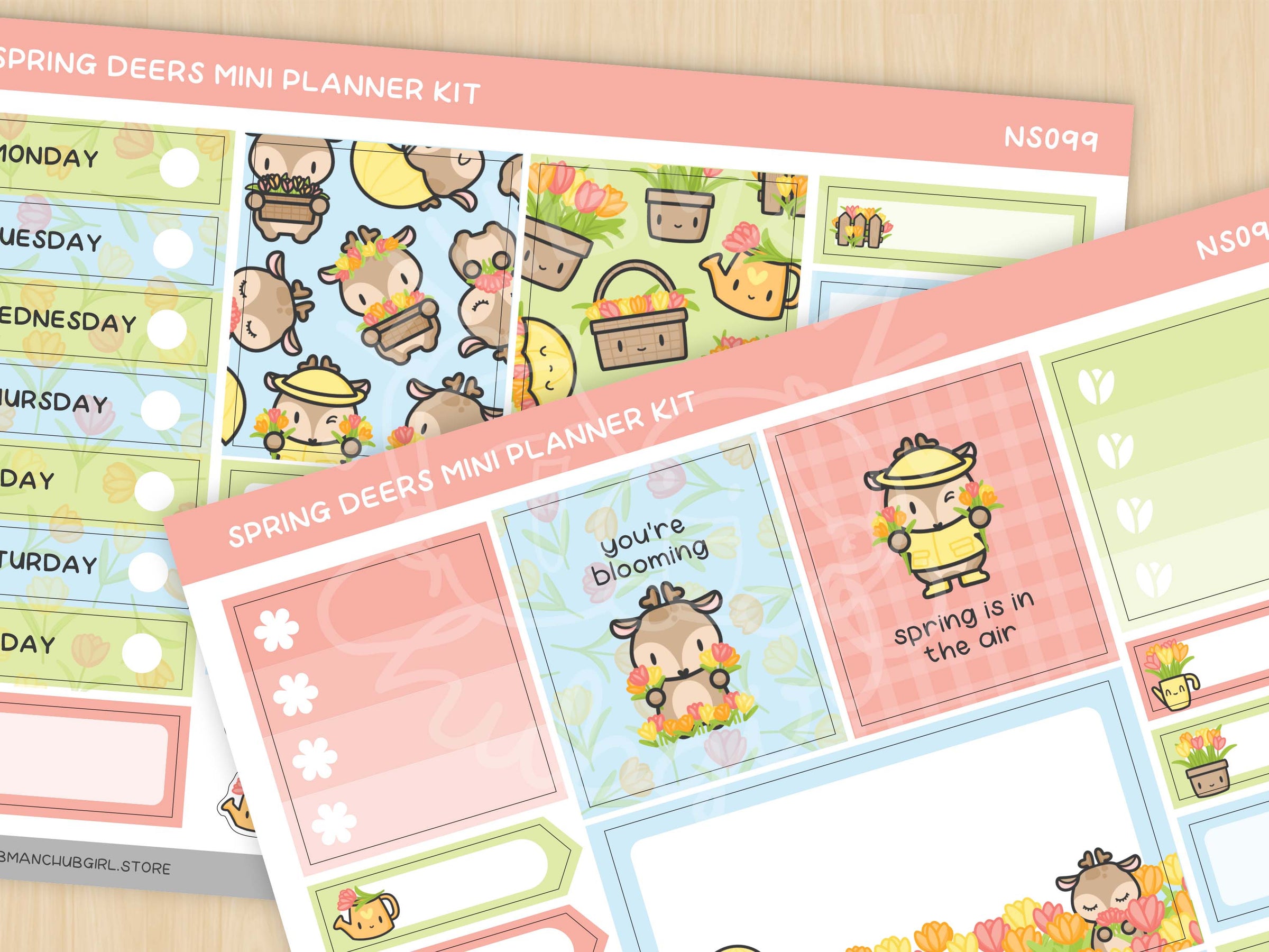 Yearly Planners – Hubman and Chubgirl